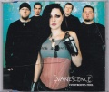 Everybody's Fool Single - The Evanescence Reference