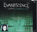 Everybody's Fool Single - The Evanescence Reference