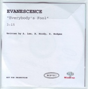 Everybody's Fool Single - The Evanescence Reference