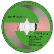 Everybody's Fool Single - The Evanescence Reference